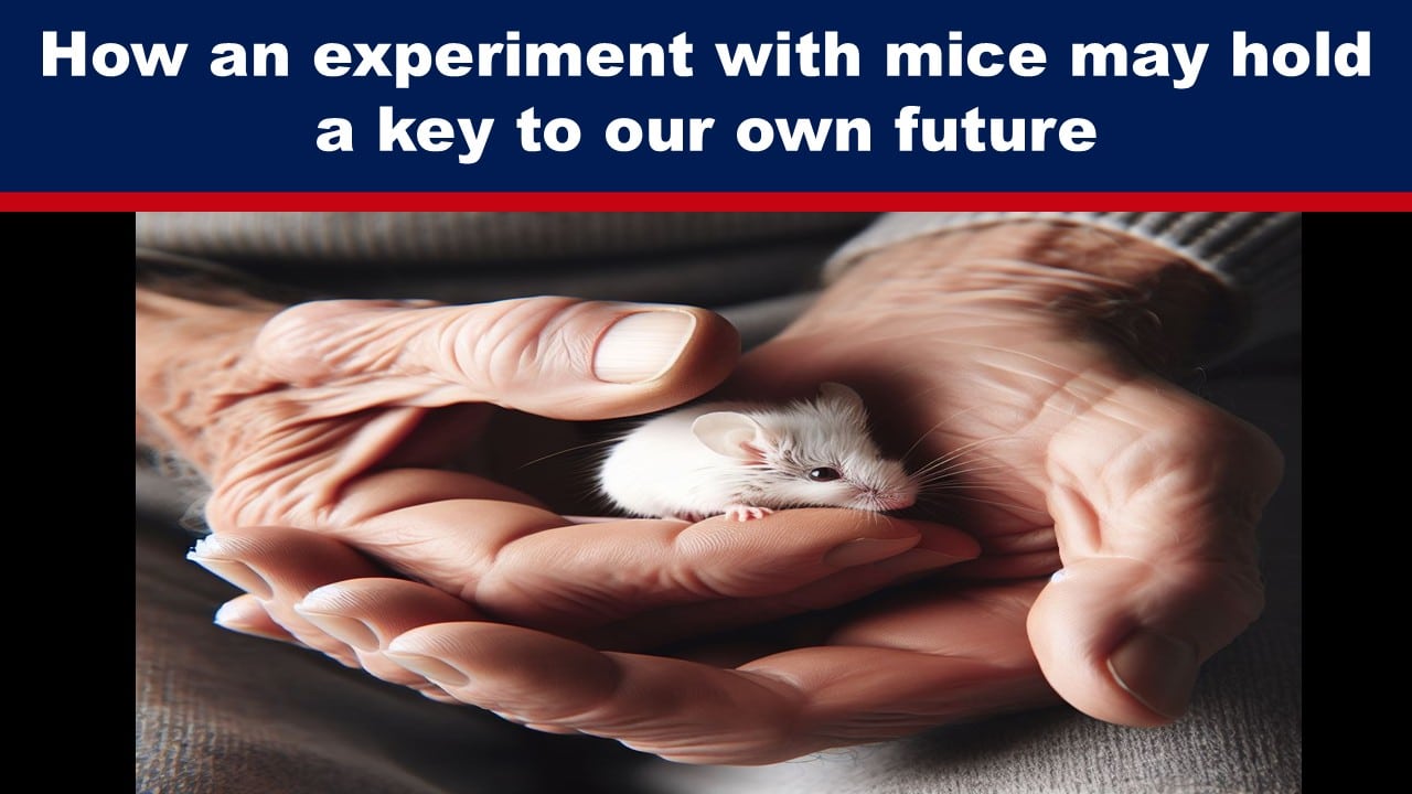 The Expose How an experiment with mice may hold a key to our own future